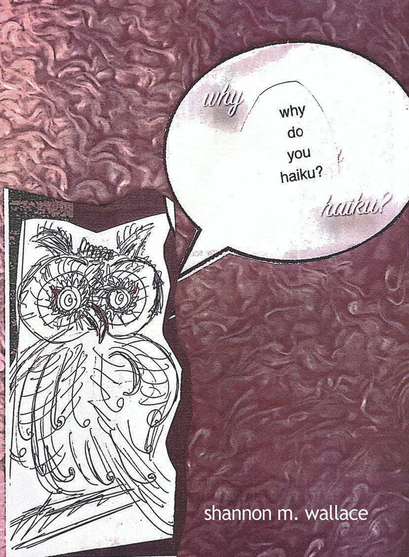 Why Do You Haiku? – Dorrance Bookstore
