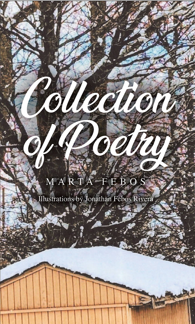 Collection of Poetry – Dorrance Bookstore