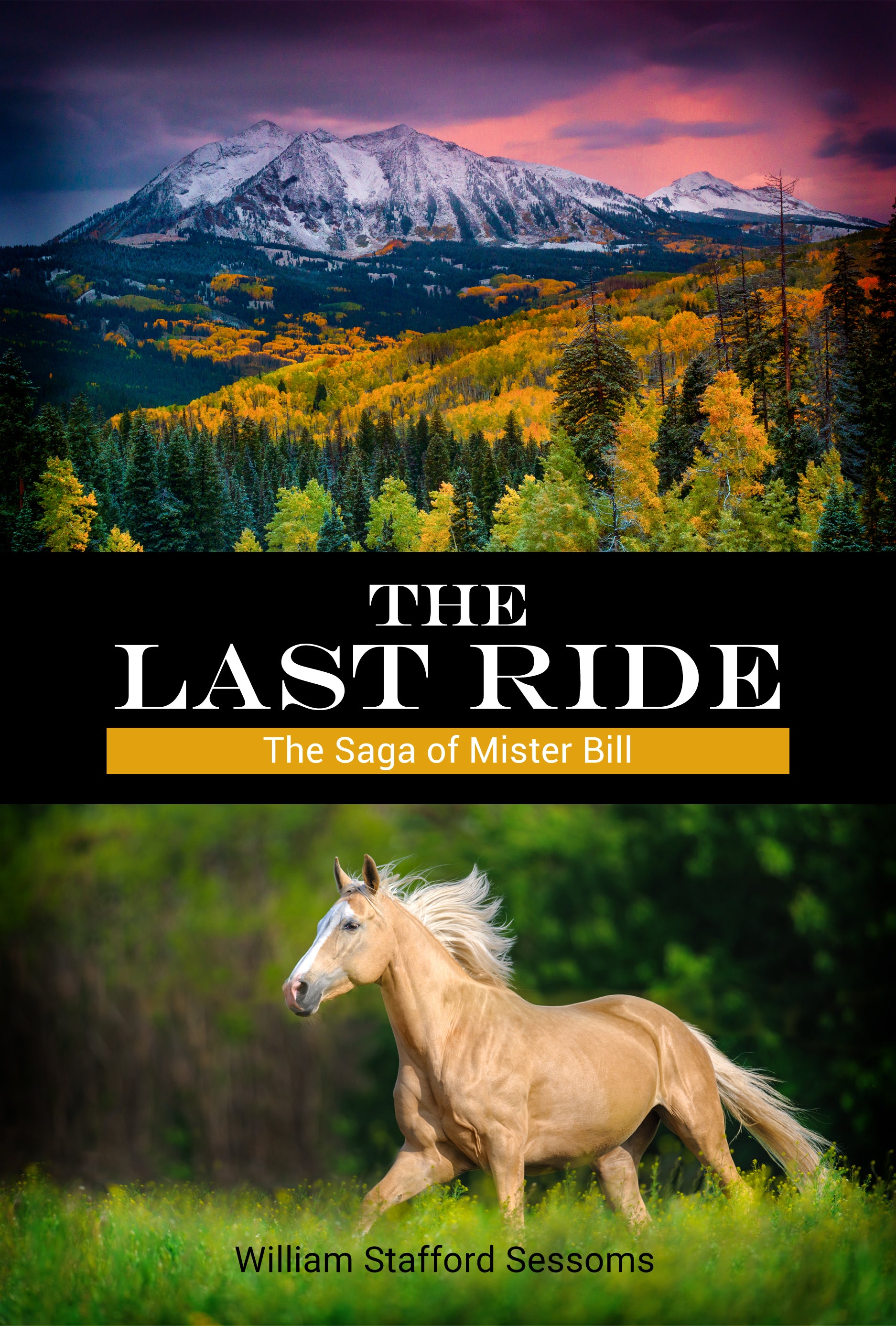 The Last Ride: The Saga of Mister Bill – Dorrance Bookstore