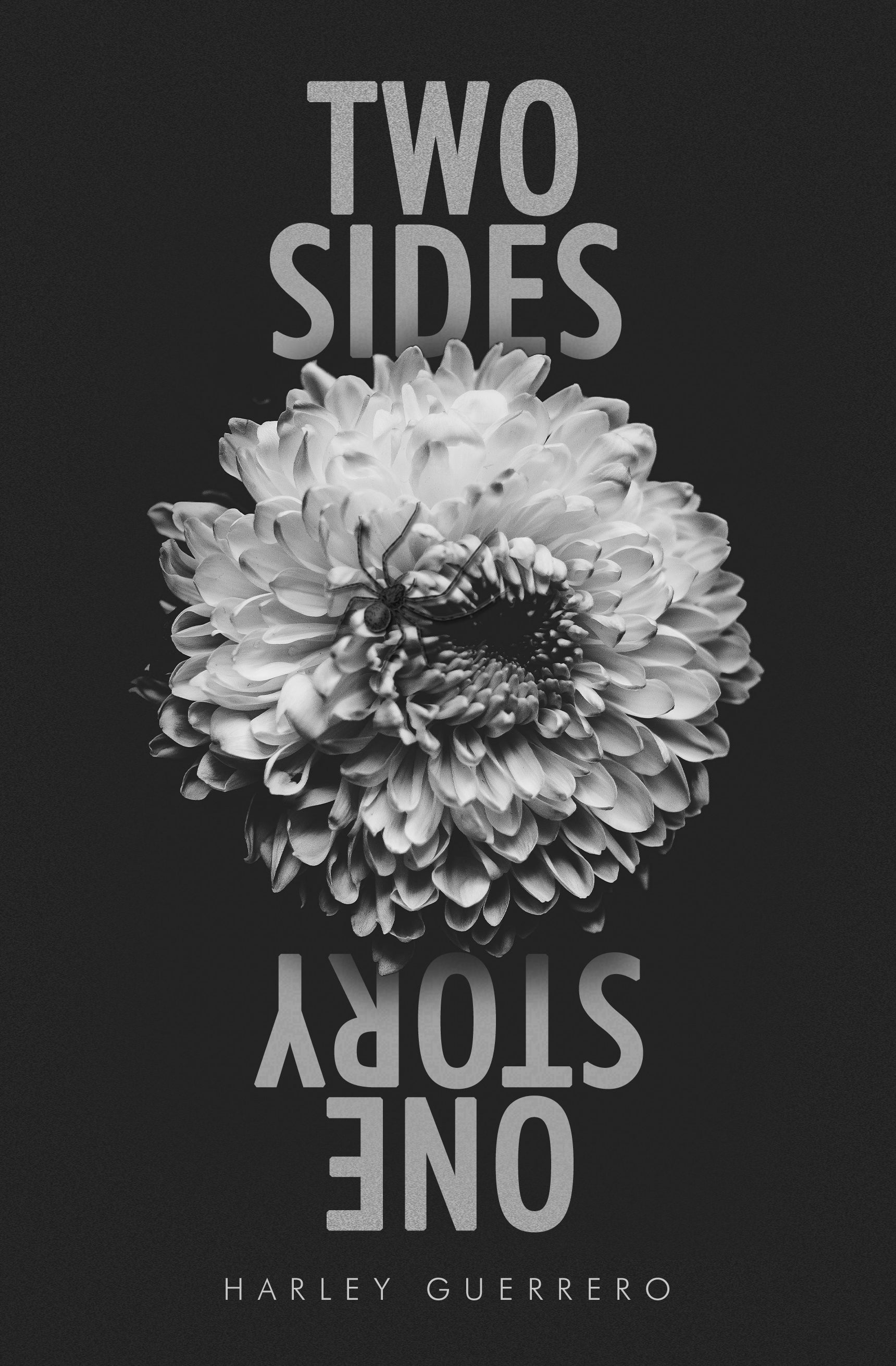 Two Sides, One Story – Dorrance Bookstore