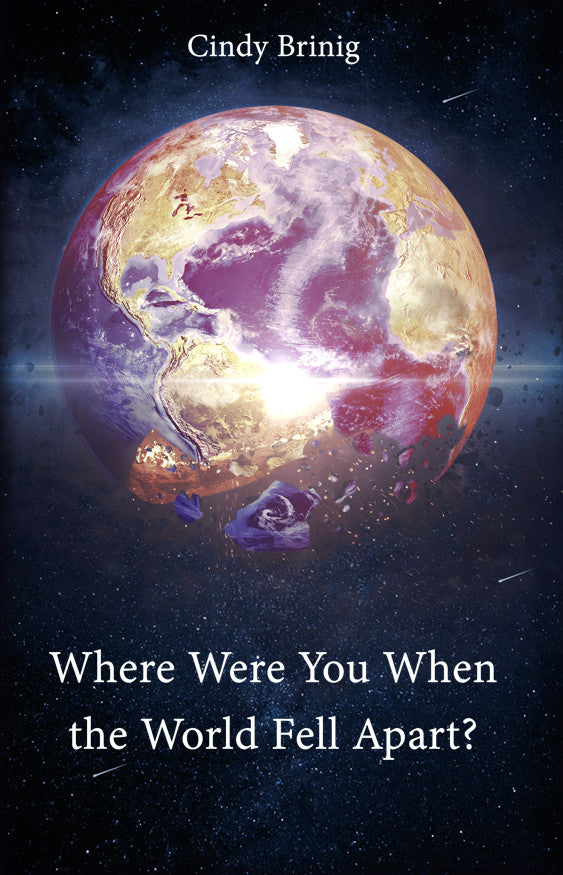 Where Were You When The World Fell Apart – Dorrance Bookstore