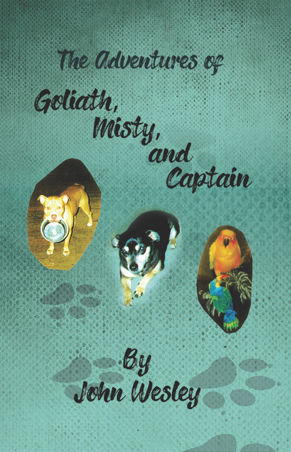 The Adventures Of Goliath, Misty, And Captain – Dorrance Bookstore