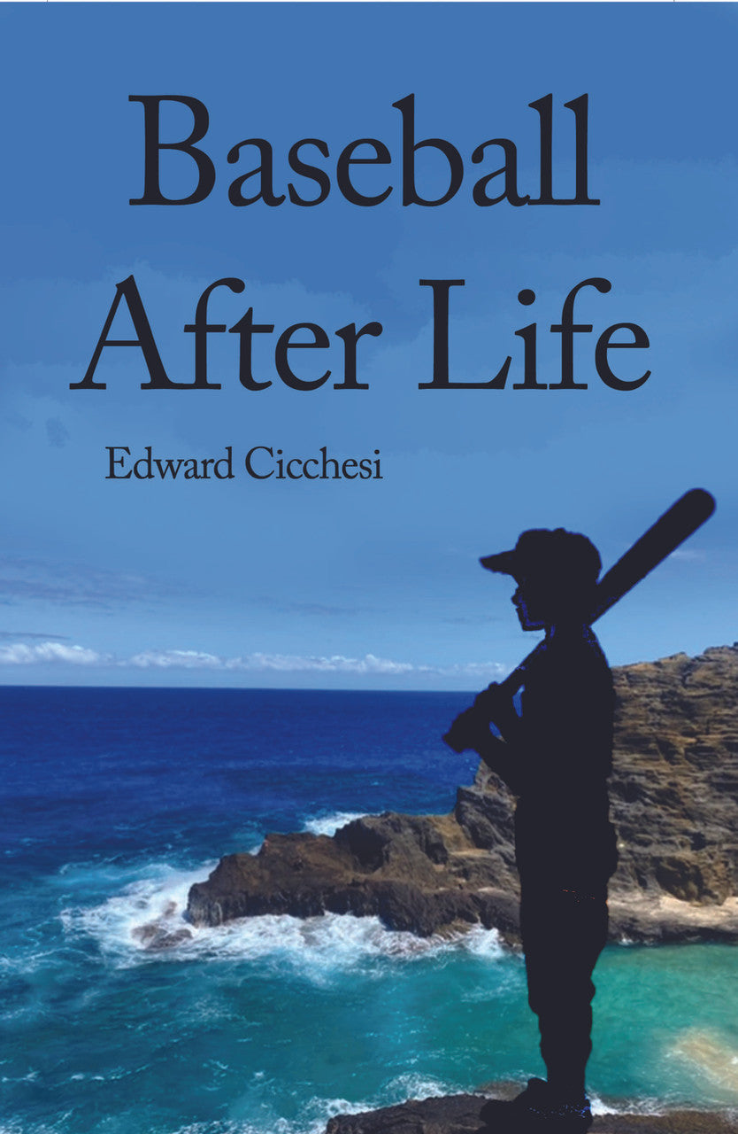 Baseball After Life – Dorrance Bookstore