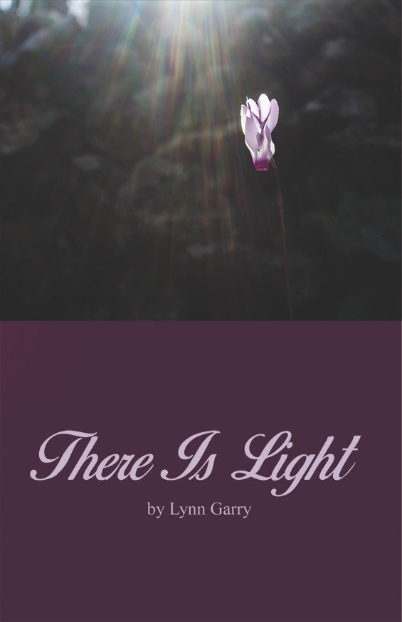There Is Light – Dorrance Bookstore