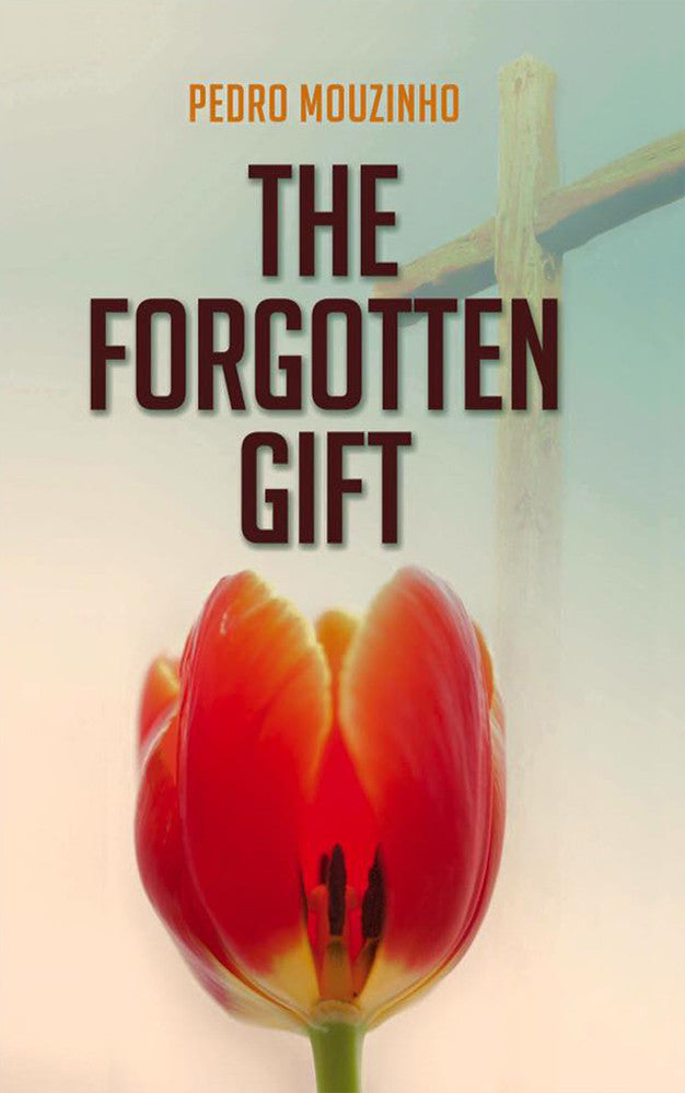 The Forgotten Gift – Dorrance Bookstore
