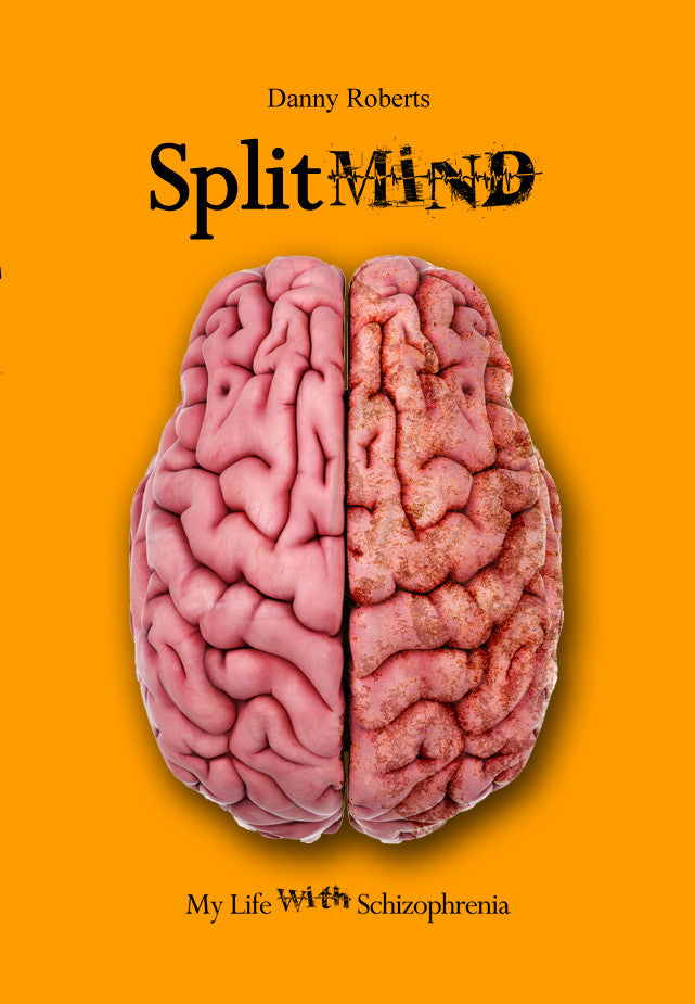 Split Mind – Dorrance Bookstore