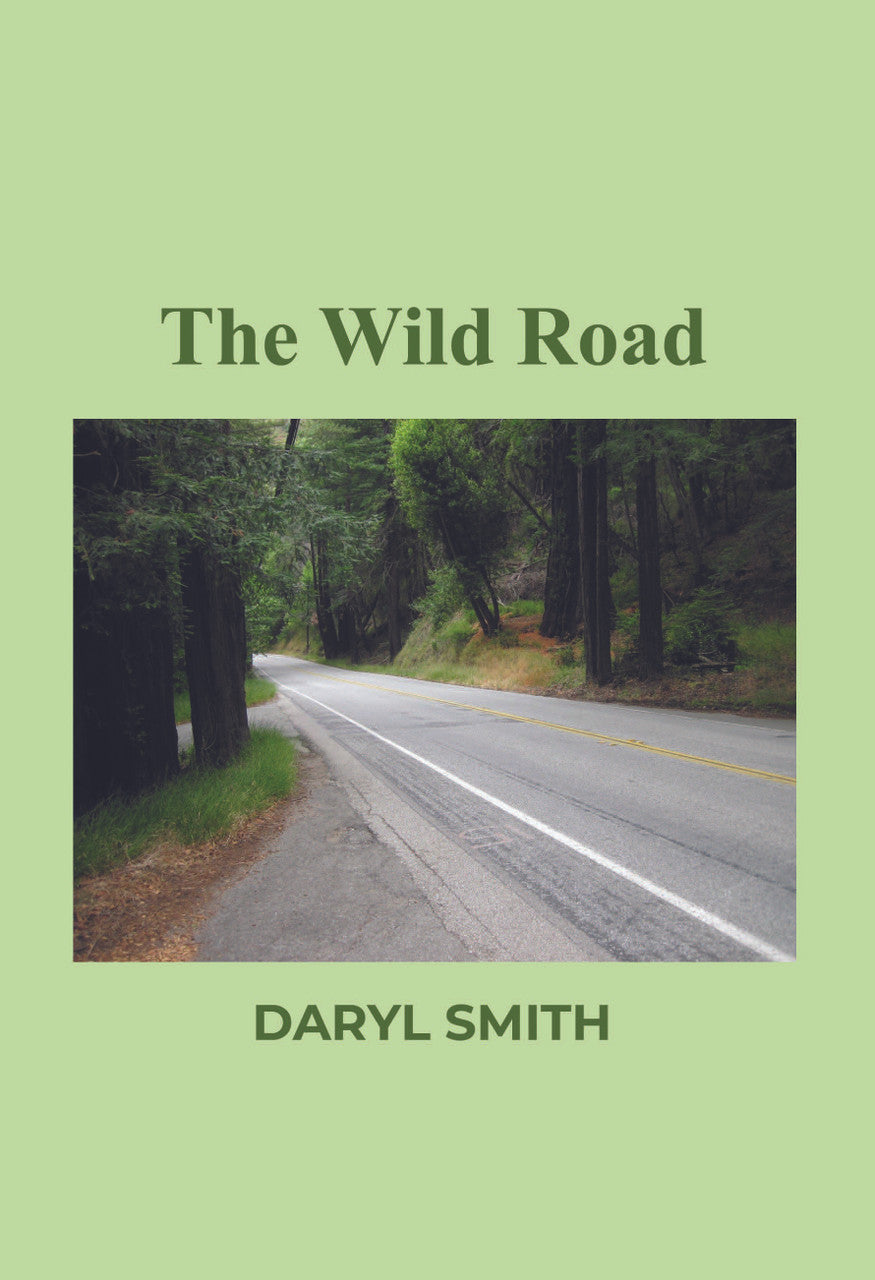 The Wild Road – Dorrance Bookstore