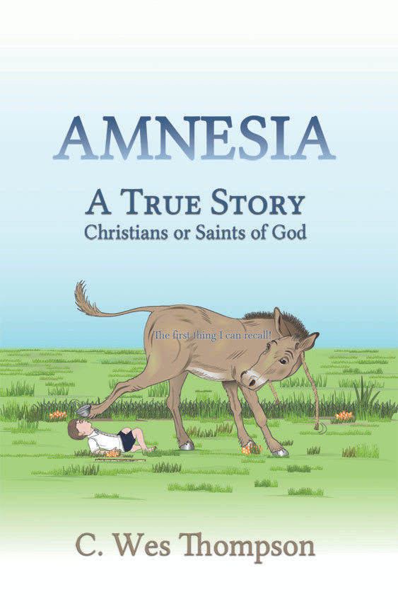 Amnesia: A True Story: Christians Or Saints Of God – Dorrance Bookstore
