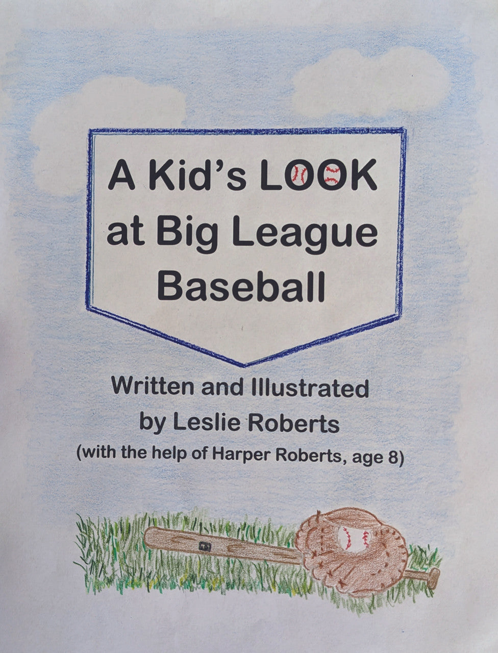 A Kid's Look At Big League Baseball – Dorrance Bookstore