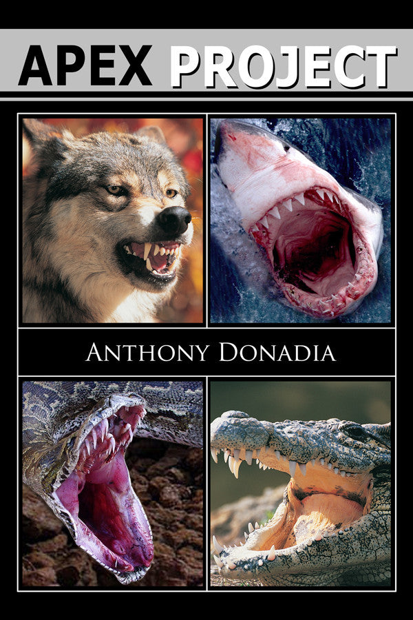 Apex Project – Dorrance Bookstore