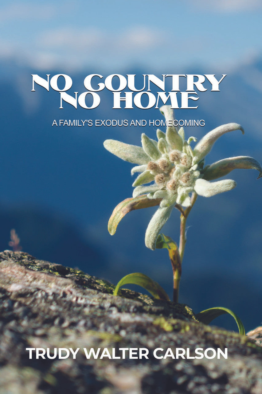 No Country No Home – Dorrance Bookstore