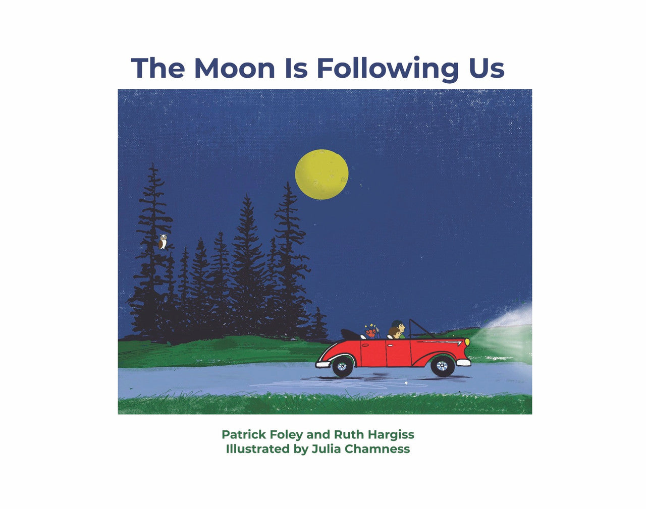 The Moon Is Following Us – Dorrance Bookstore