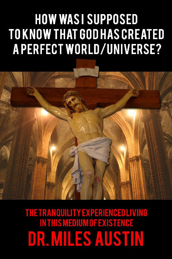 How Was I Supposed To Know That God Has Created A Perfect World/Univer ...