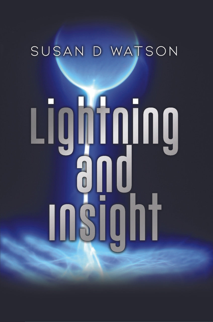 Lightning And Insight – Dorrance Bookstore