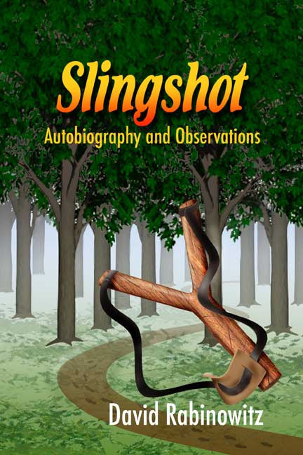 Slingshot: Autobiography And Observations – Dorrance Bookstore