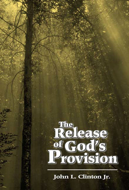 The Release Of God's Provision – Dorrance Bookstore
