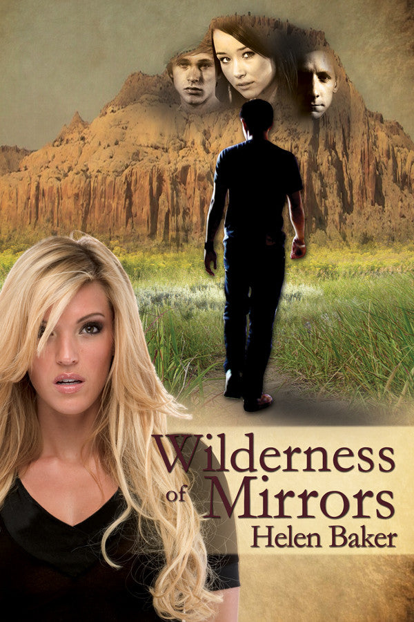 Wilderness Of Mirrors – Dorrance Bookstore